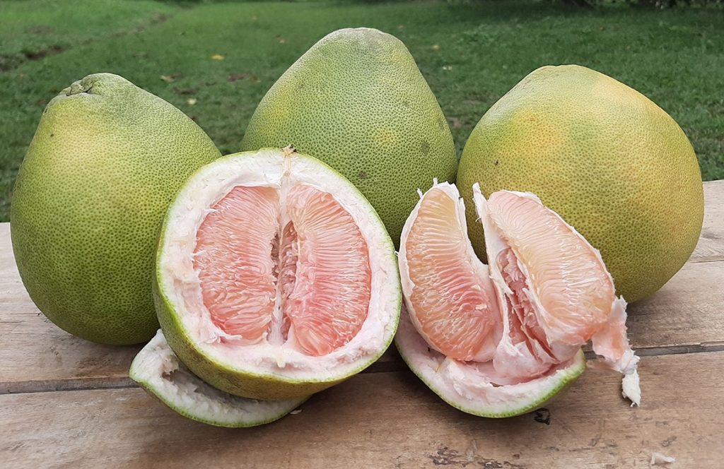 Помело - корисний гігант: десять причин їсти памело - Simya