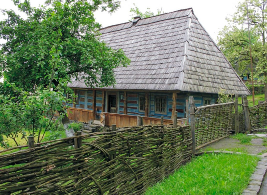 Які дерева садили біля дому наші предки? - Simya