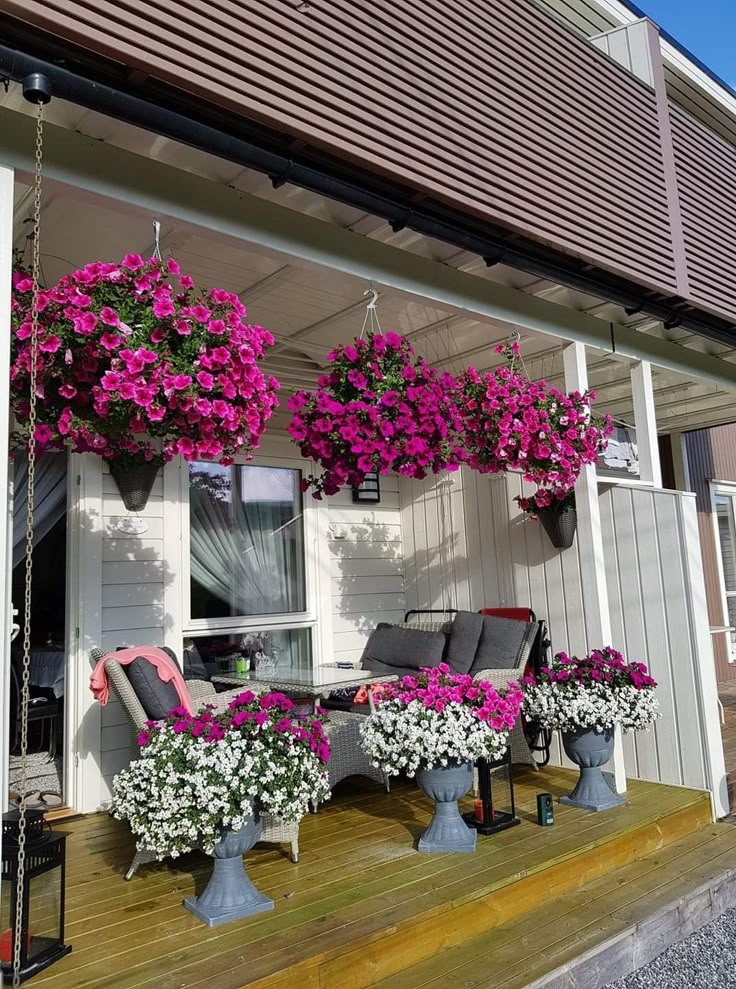 Як прикрасити фасад будинку квітами у горщиках: 12 ідей для сонця й ...